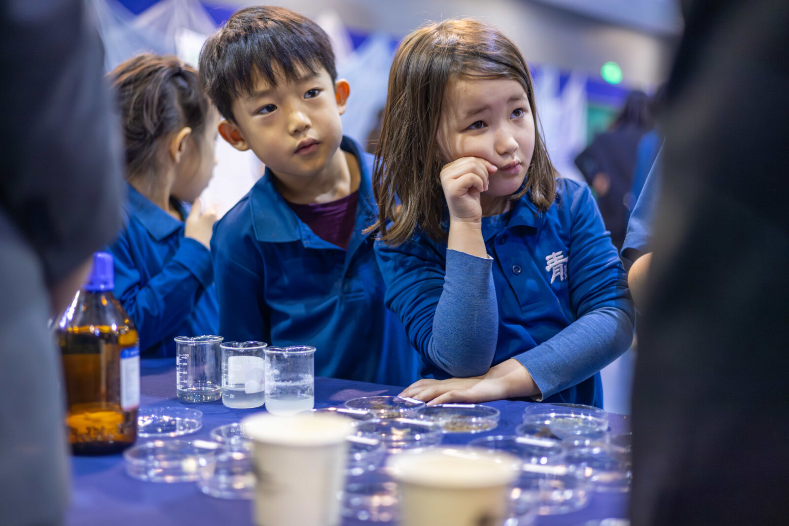 High School Science Fair | International School of Qingdao